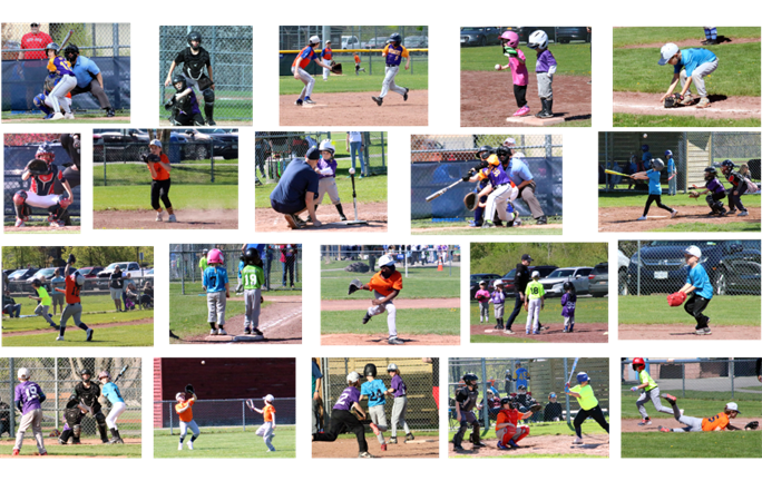 Home [www.halfmoonbaseball.com]